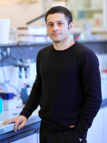 Raphaël Rapetti-Mauss | CNRS