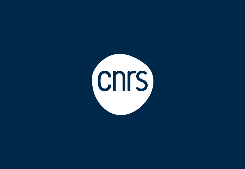 Newsroom | CNRS