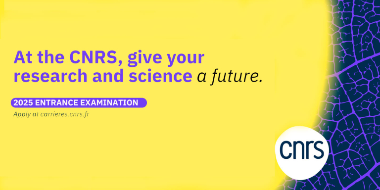 Centre national de la recherche scientifique (CNRS)