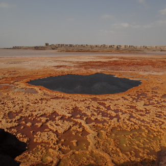 L’intensification de l’agriculture est à l'origine de la disparition ...